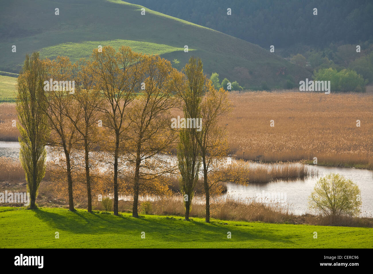 Marsh of Colfiorito, a natural wetland on a Karst Plain in the Central ...