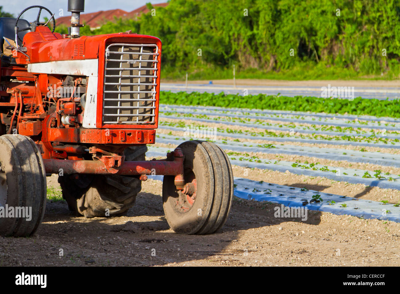 Red old tractor on land hi-res stock photography and images - Alamy