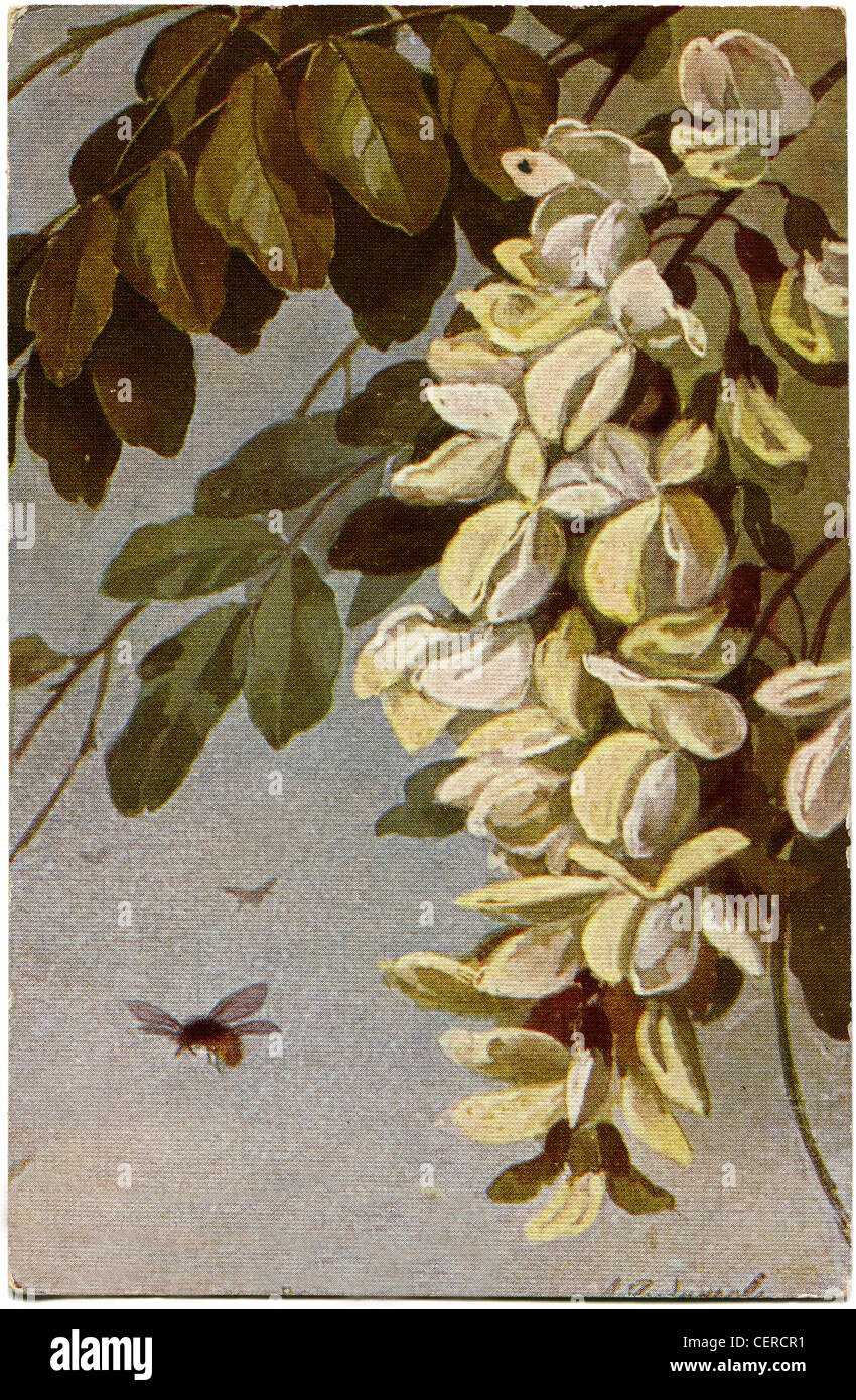 Vintage bee postcard hi-res stock photography and images - Alamy