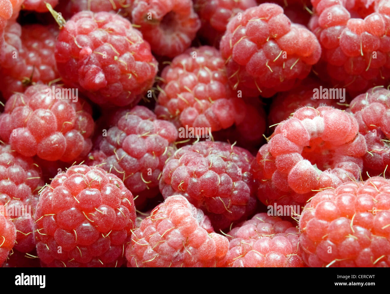 background of raspberry. Close up Stock Photo - Alamy
