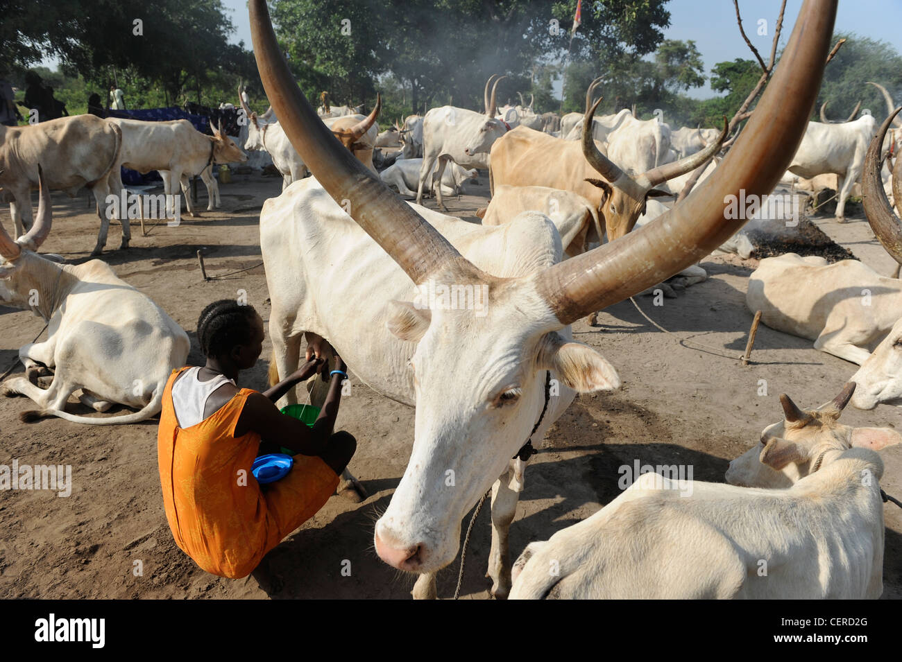South sudan rumbek dinka women hi-res stock photography and images - Alamy