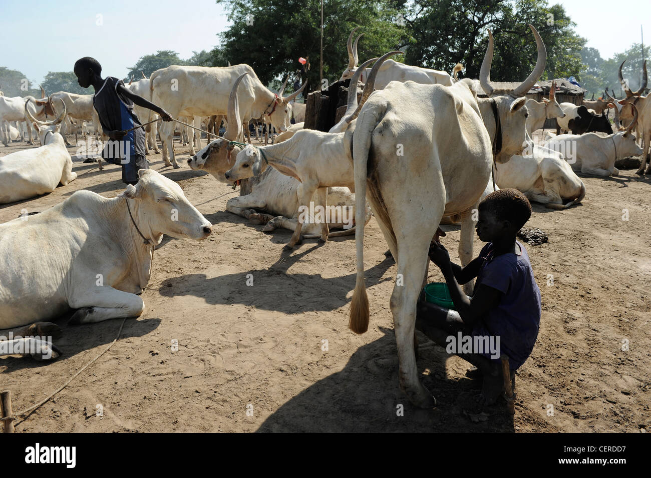 Dinka boy hi-res stock photography and images - Alamy