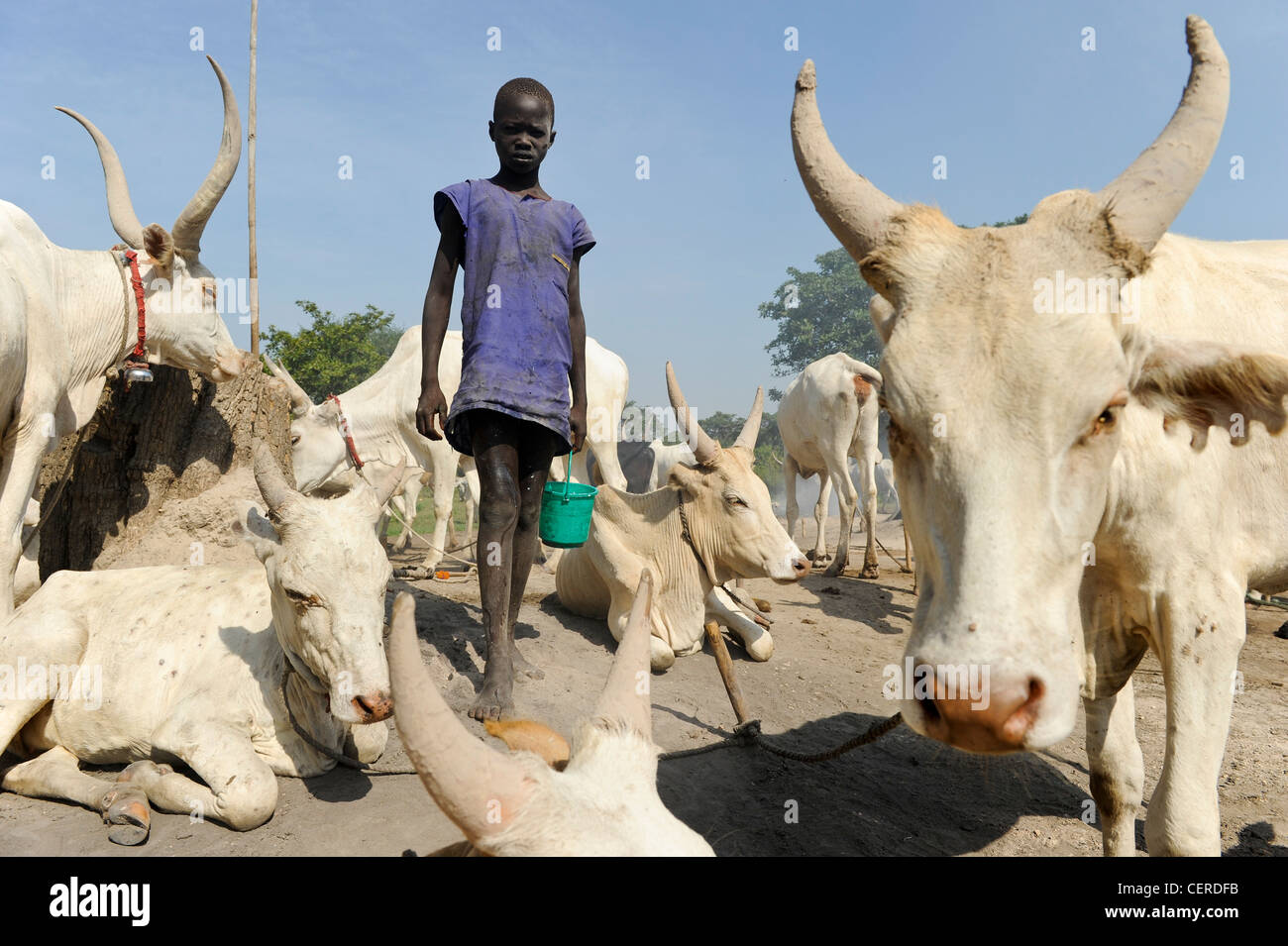 SOUTHERN SUDAN, Bahr al Ghazal region , Lakes State, Dinka tribe with ...