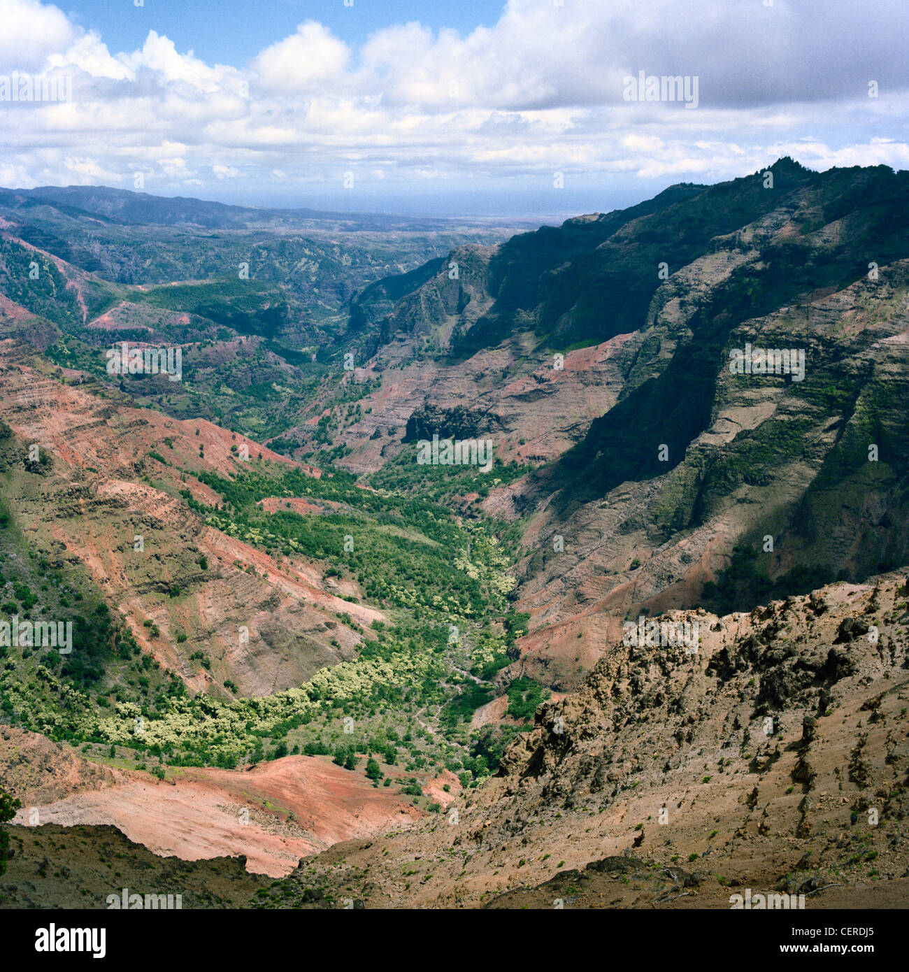 Pu'u Hinahina Lookout at Waimea Canyon "Kaua'i" Hawaii Stock Photo - Alamy