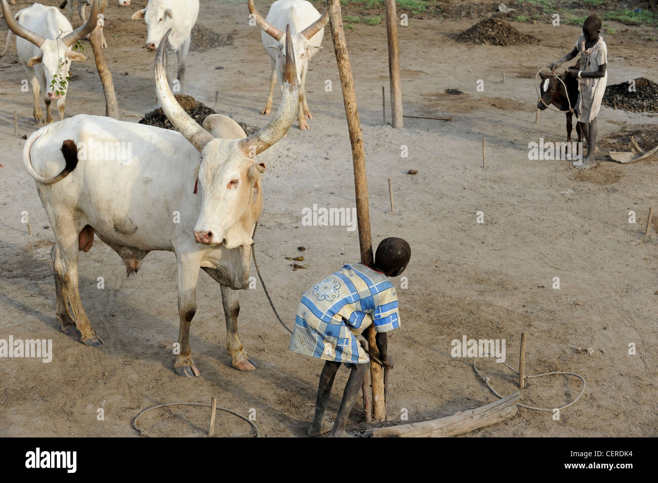 Dinka boy hi-res stock photography and images - Alamy