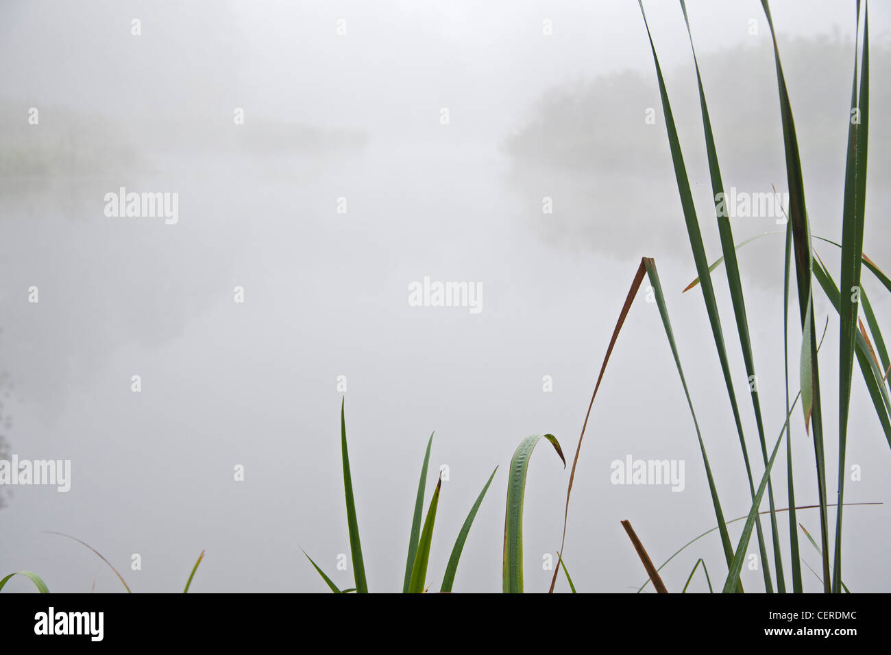 Walking near river Bug，Eastern Poland Stock Photo - Alamy