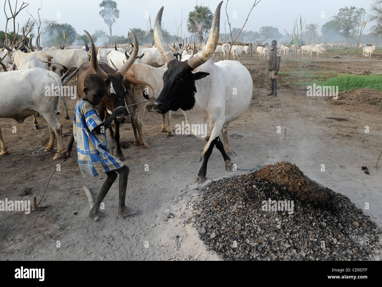 SOUTHERN SUDAN, Bahr al Ghazal region , Lakes State, Dinka tribe with ...