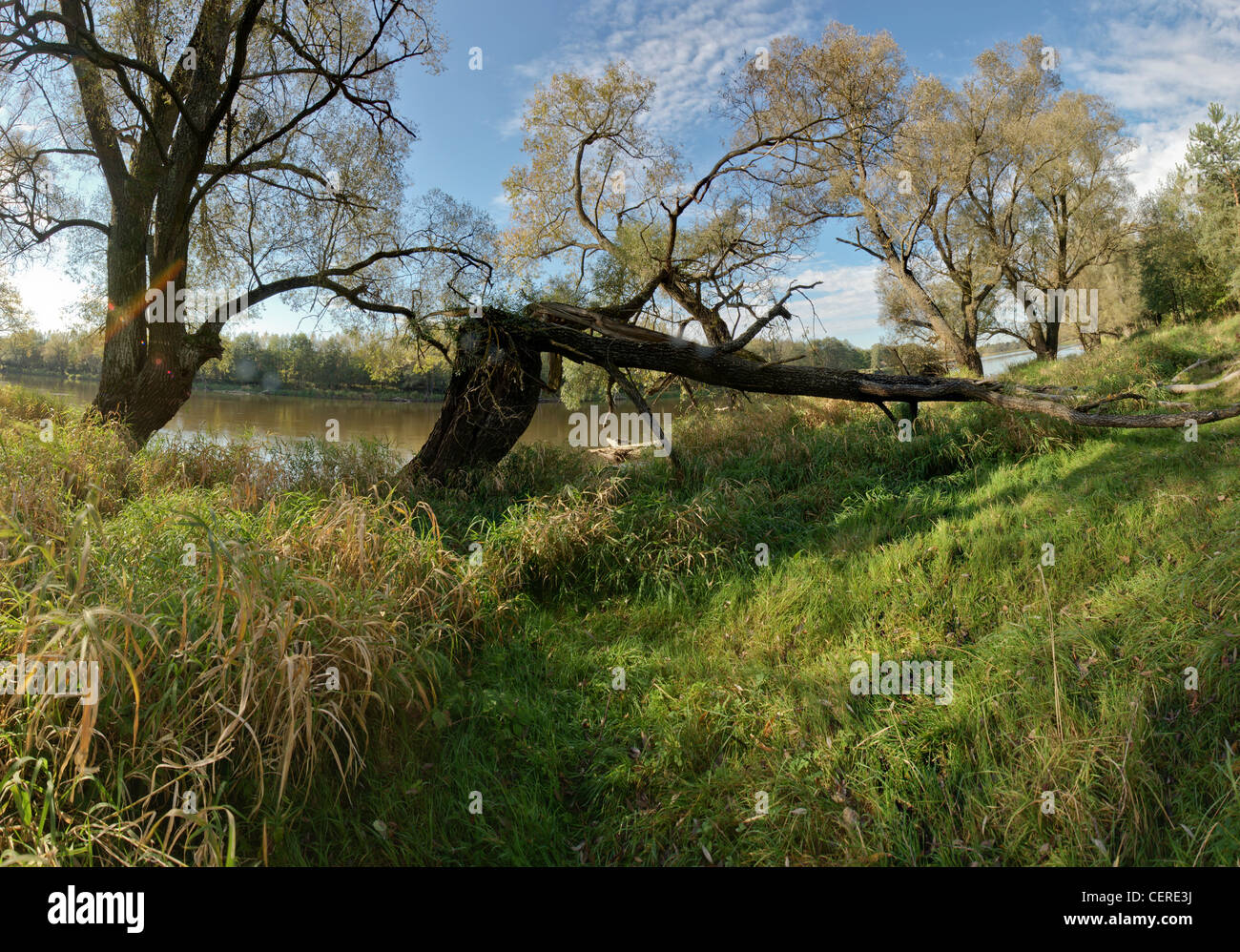 Walking near river Bug，Eastern Poland Stock Photo - Alamy