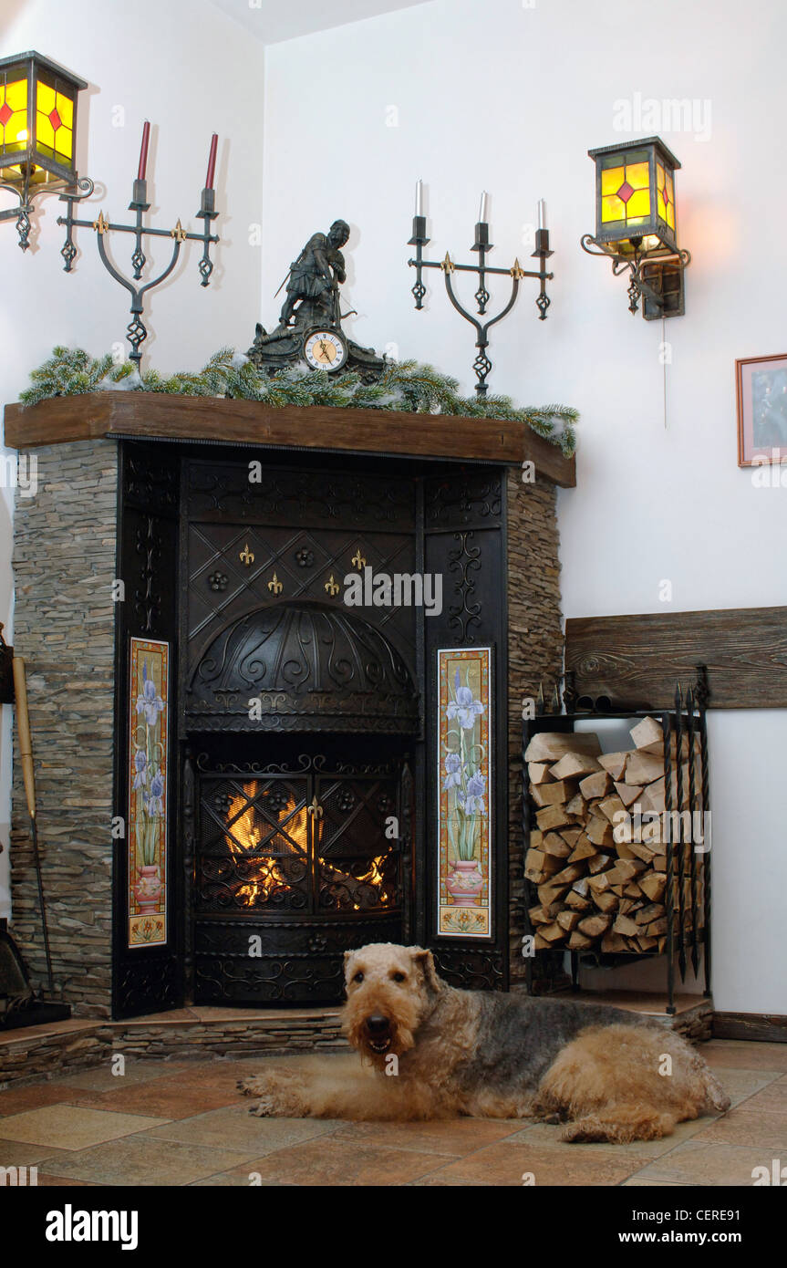 dog sitting by the fireplace in the cozy house Stock Photo - Alamy
