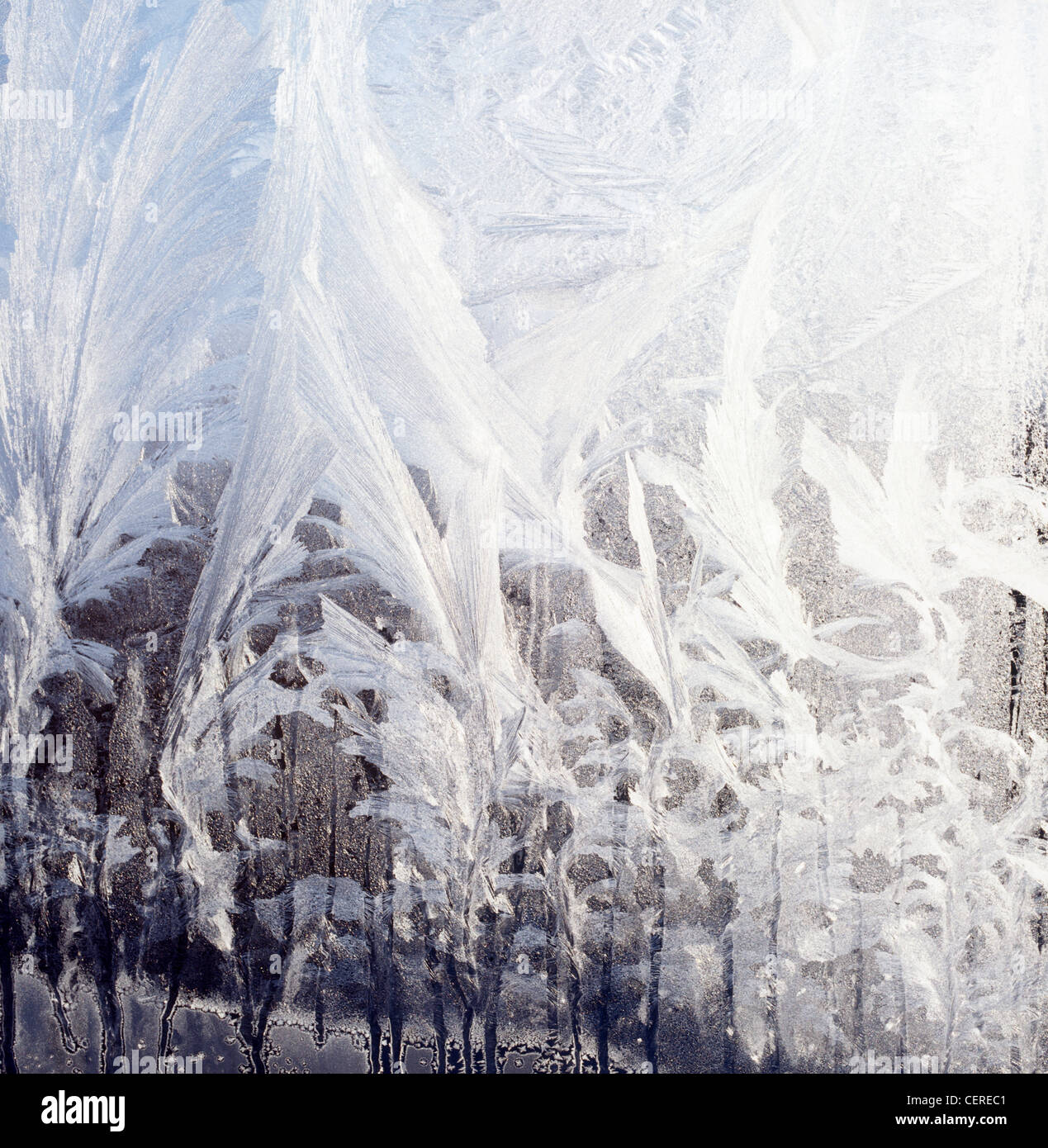 Frozen window glass Stock Photo - Alamy
