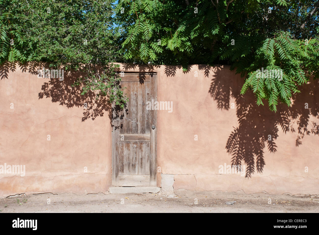 Shadows from surrounding trees add an artistic feel to this adobe wall ...