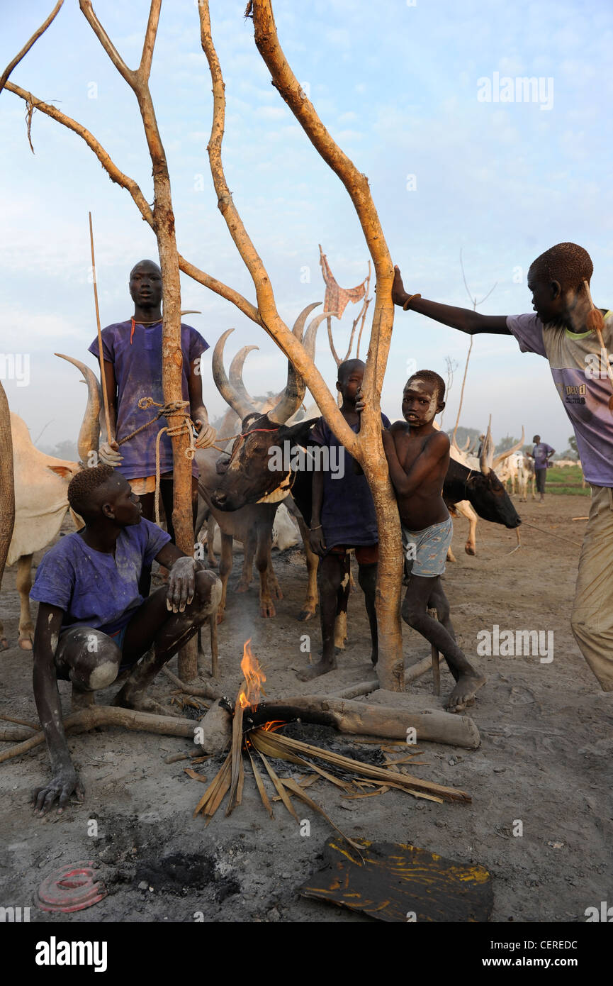 SOUTHERN SUDAN, Bahr al Ghazal region , Lakes State, Dinka tribe with ...