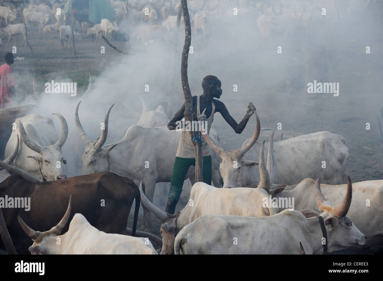 Dinka tribe and sudan and cows hi-res stock photography and images - Alamy