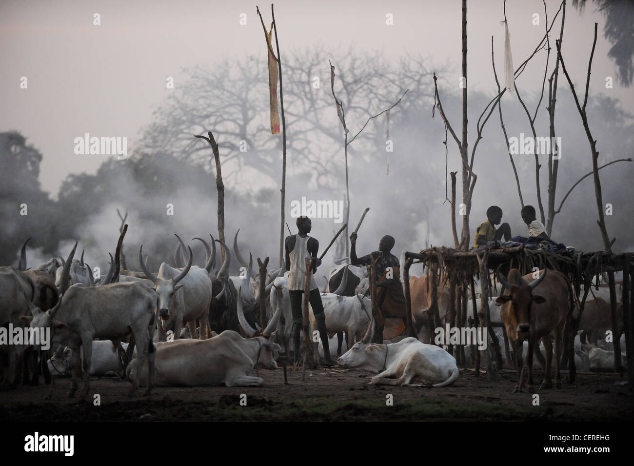 SOUTHERN SUDAN, Bahr al Ghazal region , Lakes State, Dinka tribe with ...