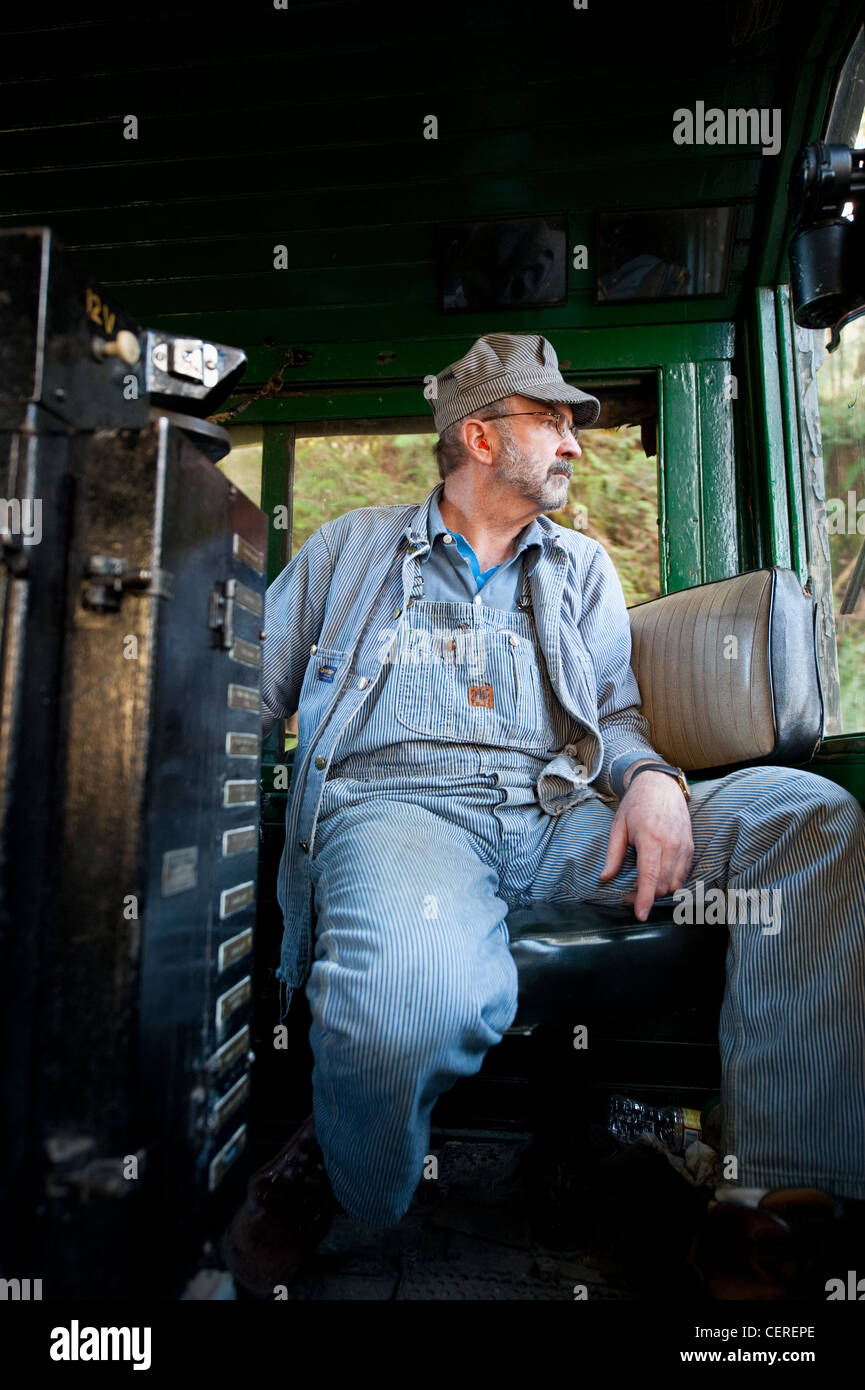 A train engineer driving an antique diesel locomotive on the Lake ...