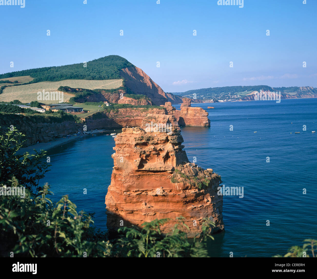 Ladram bay in south hi-res stock photography and images - Alamy