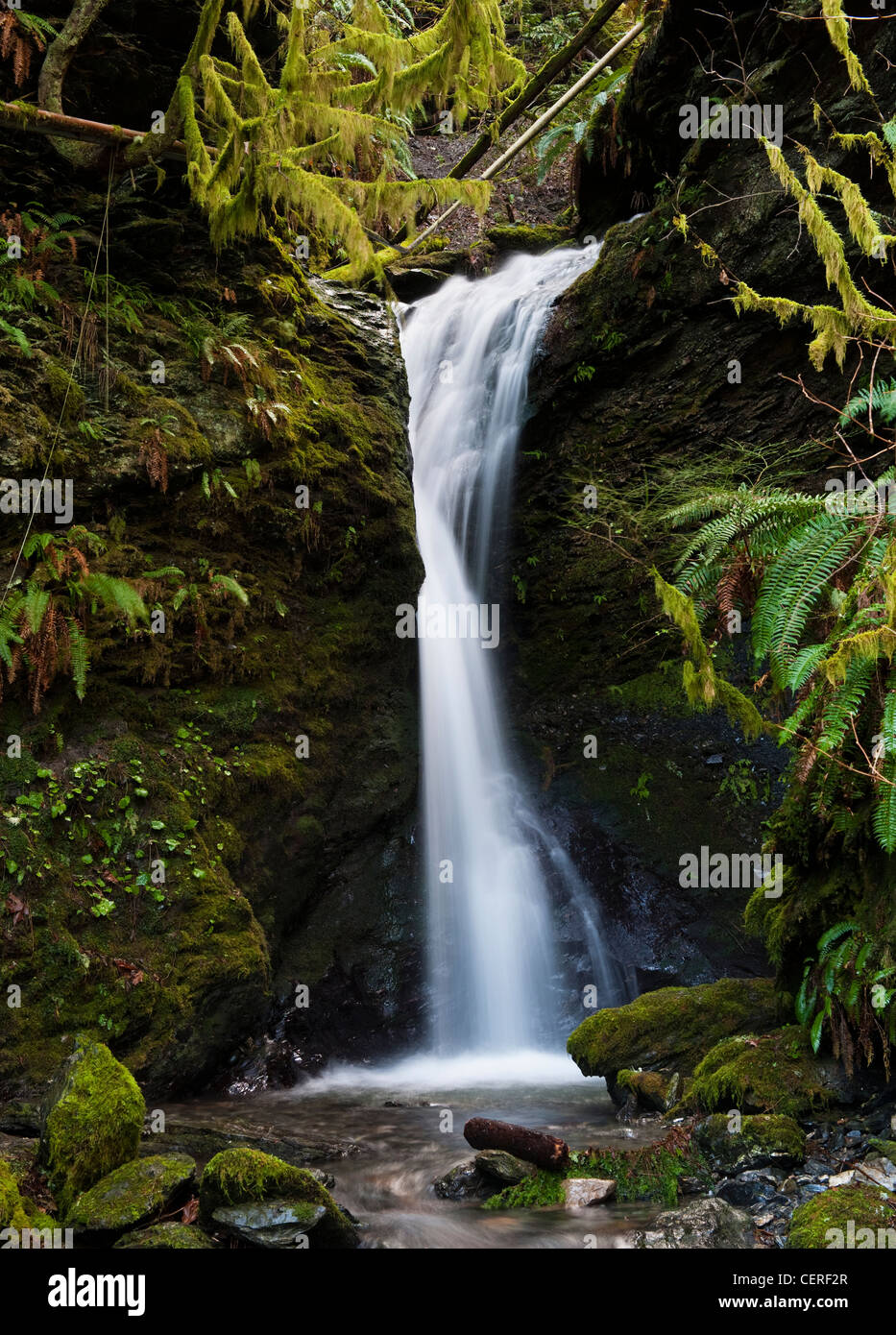 A beautiful waterfall located in a rain forest environment near ...