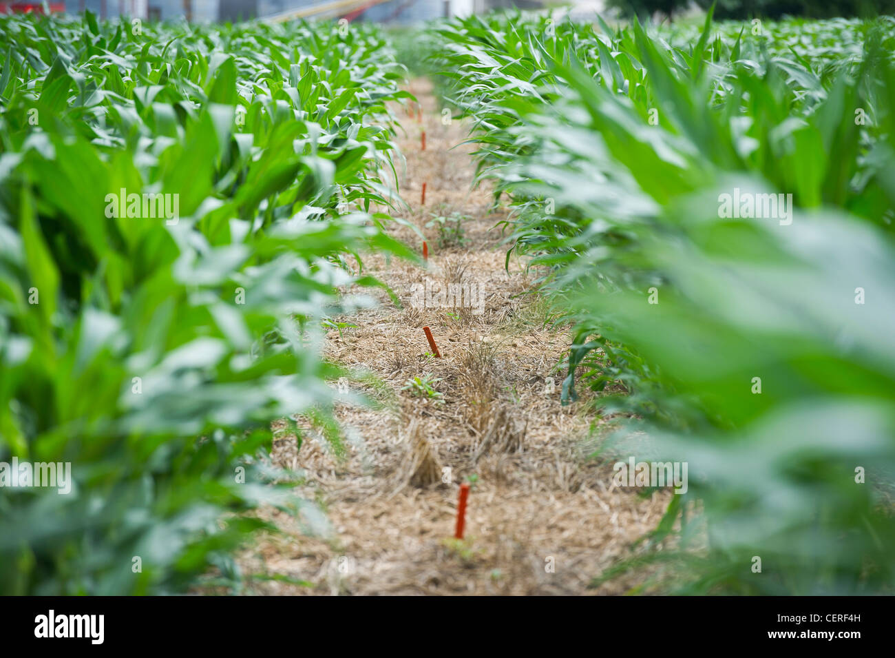 Row markers hi-res stock photography and images - Alamy