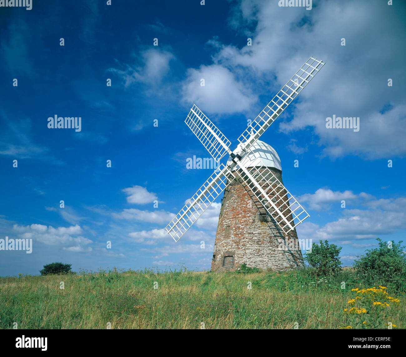 A view across the fields to Halnaker Windmill Stock Photo - Alamy