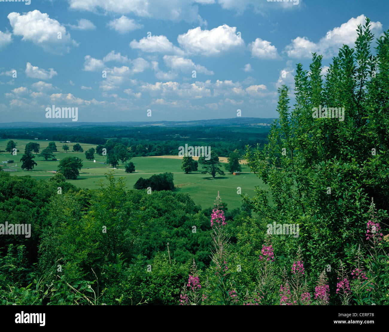 Duncton hill ” hi-res stock photography and images - Alamy
