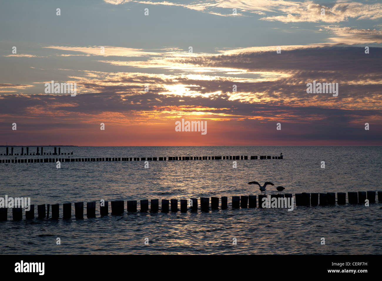 Zingst baltic hi-res stock photography and images - Alamy
