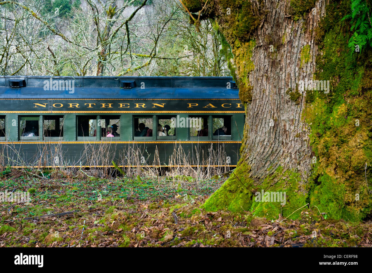 These passenger train coaches date from 1910 to 1925 and were used on ...