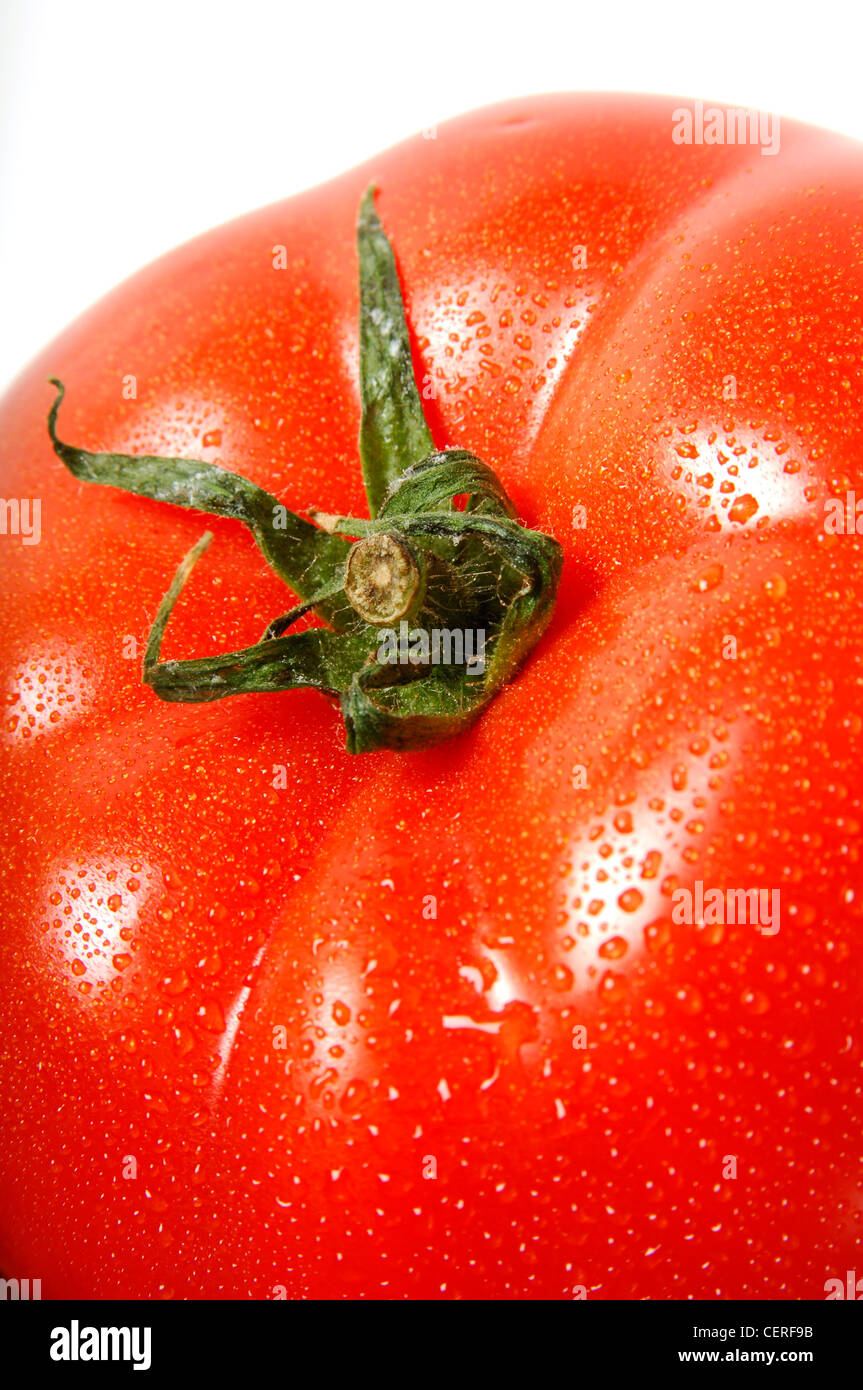 Close up tomato Stock Photo - Alamy