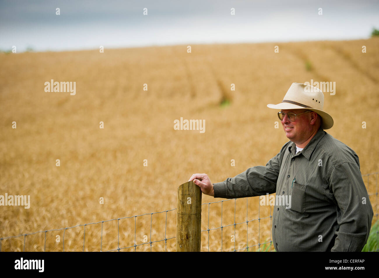 Grain farmer overlooking fields of wheat Stock Photo - Alamy