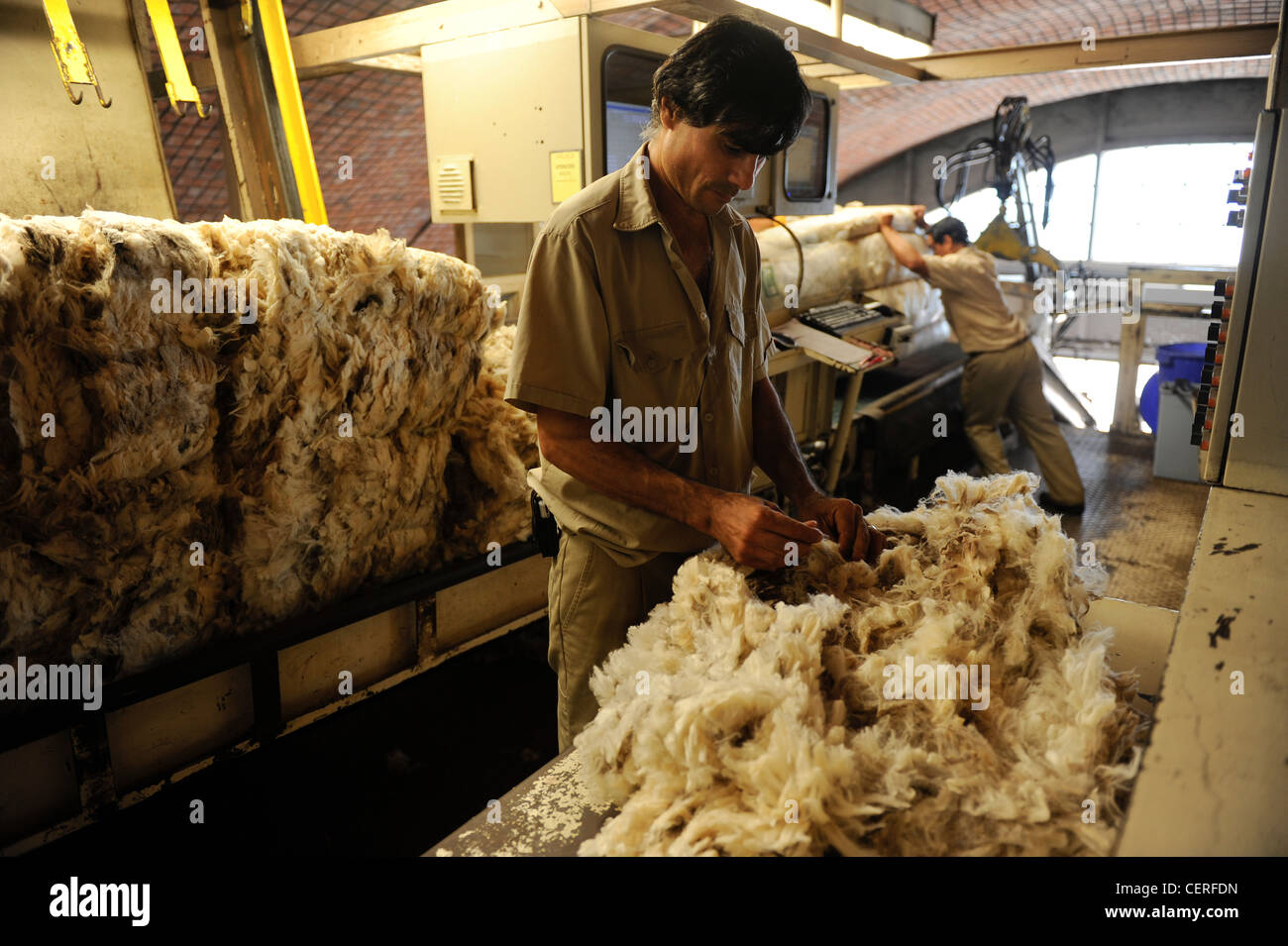 Merino sheep hi-res stock photography and images - Alamy
