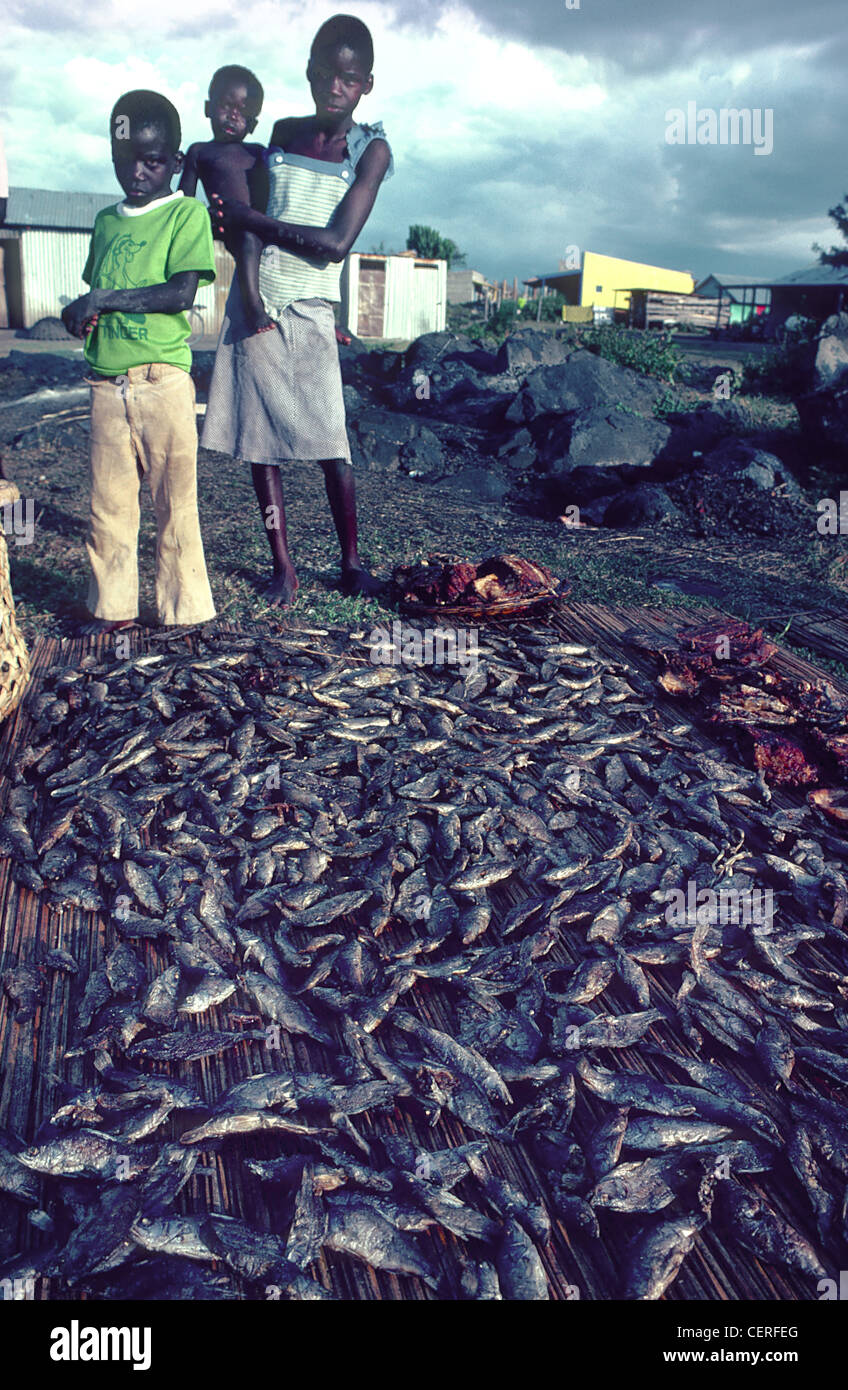 Fish drying in the sun by Lake Victoria, Kent Stock Photo - Alamy