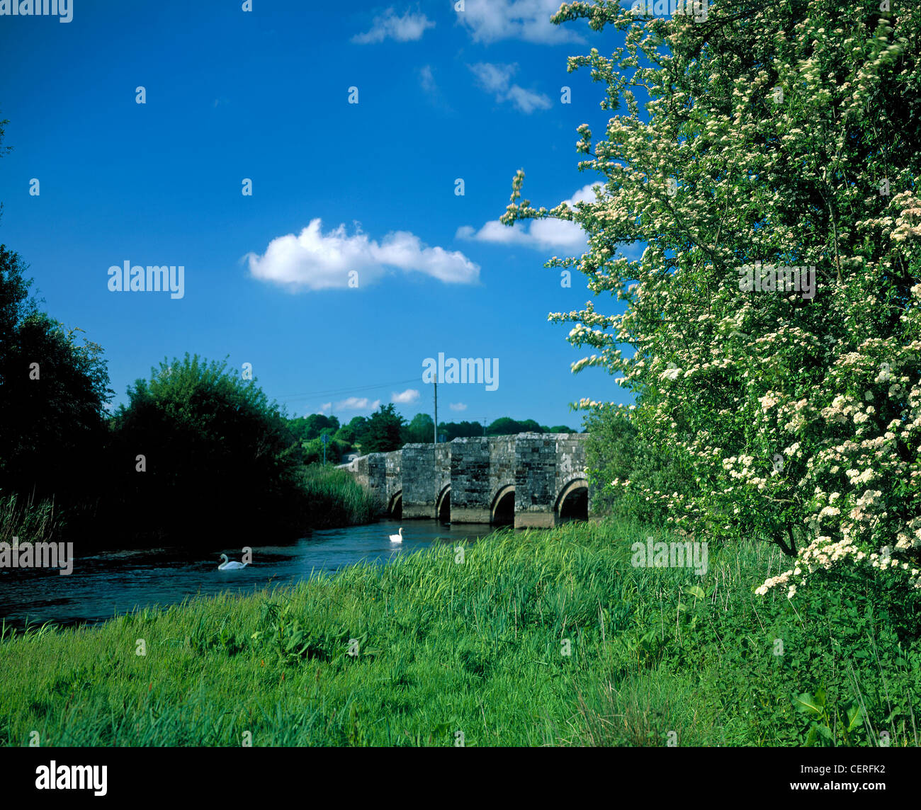 Wool bridge over the River Frome Stock Photo - Alamy