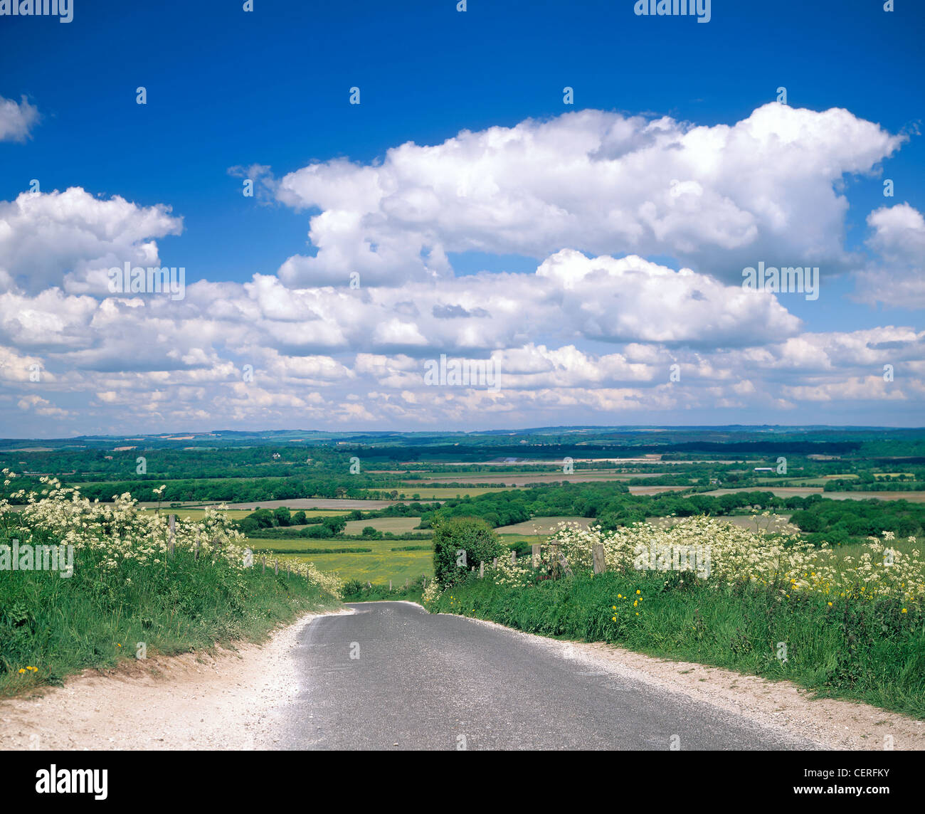 Small country lane in Spring Stock Photo - Alamy