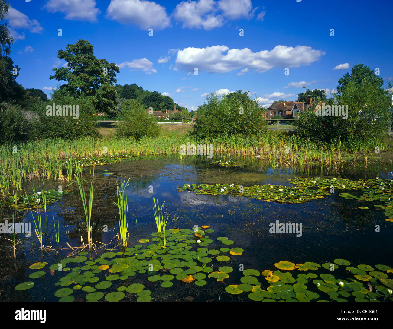 Chiddingfold surrey england uk hi-res stock photography and images - Alamy
