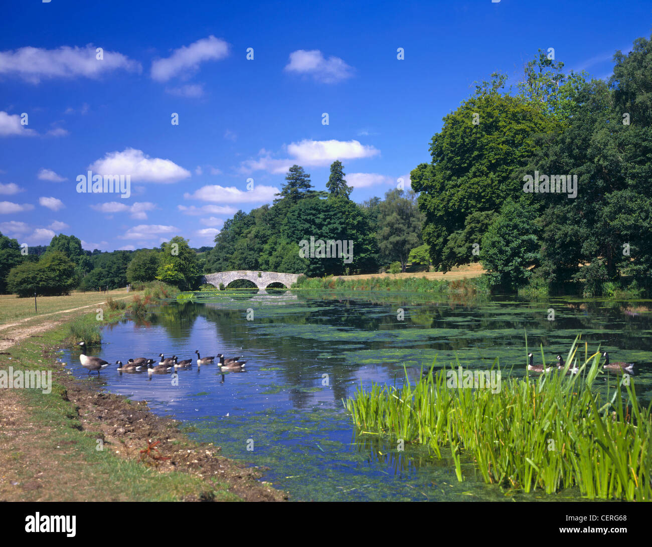 The River Wey at Waverley Abbey Stock Photo - Alamy