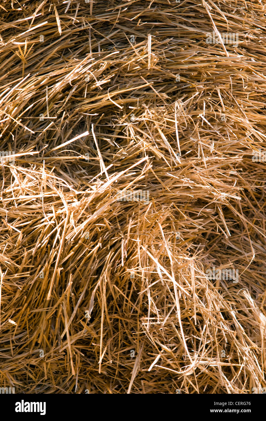 roll of hay on field Stock Photo - Alamy