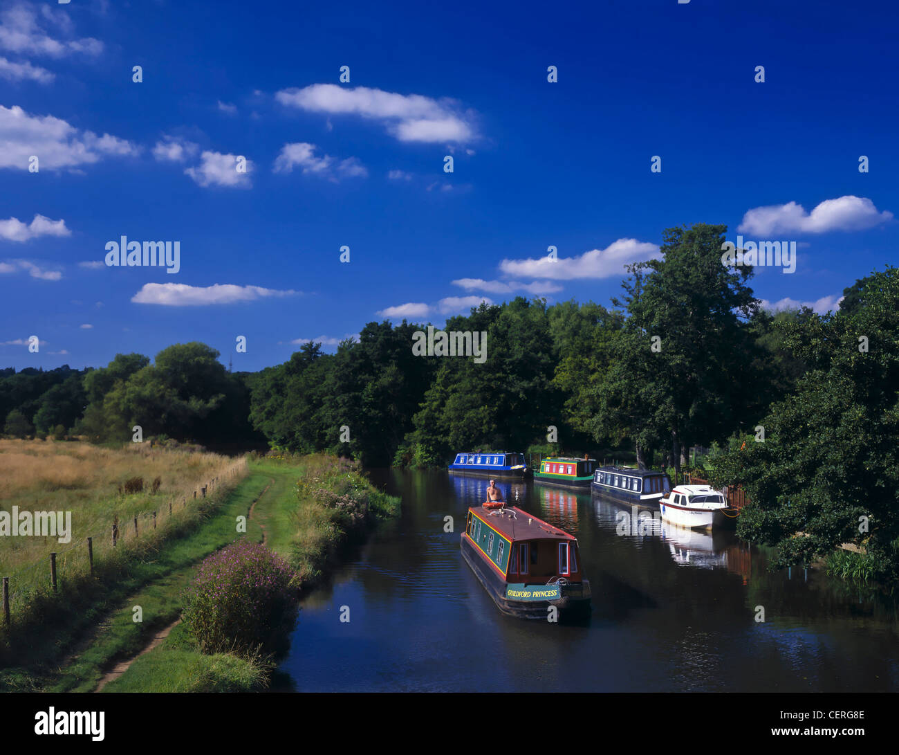 Long boats on the the River Wey at Shalford Stock Photo - Alamy