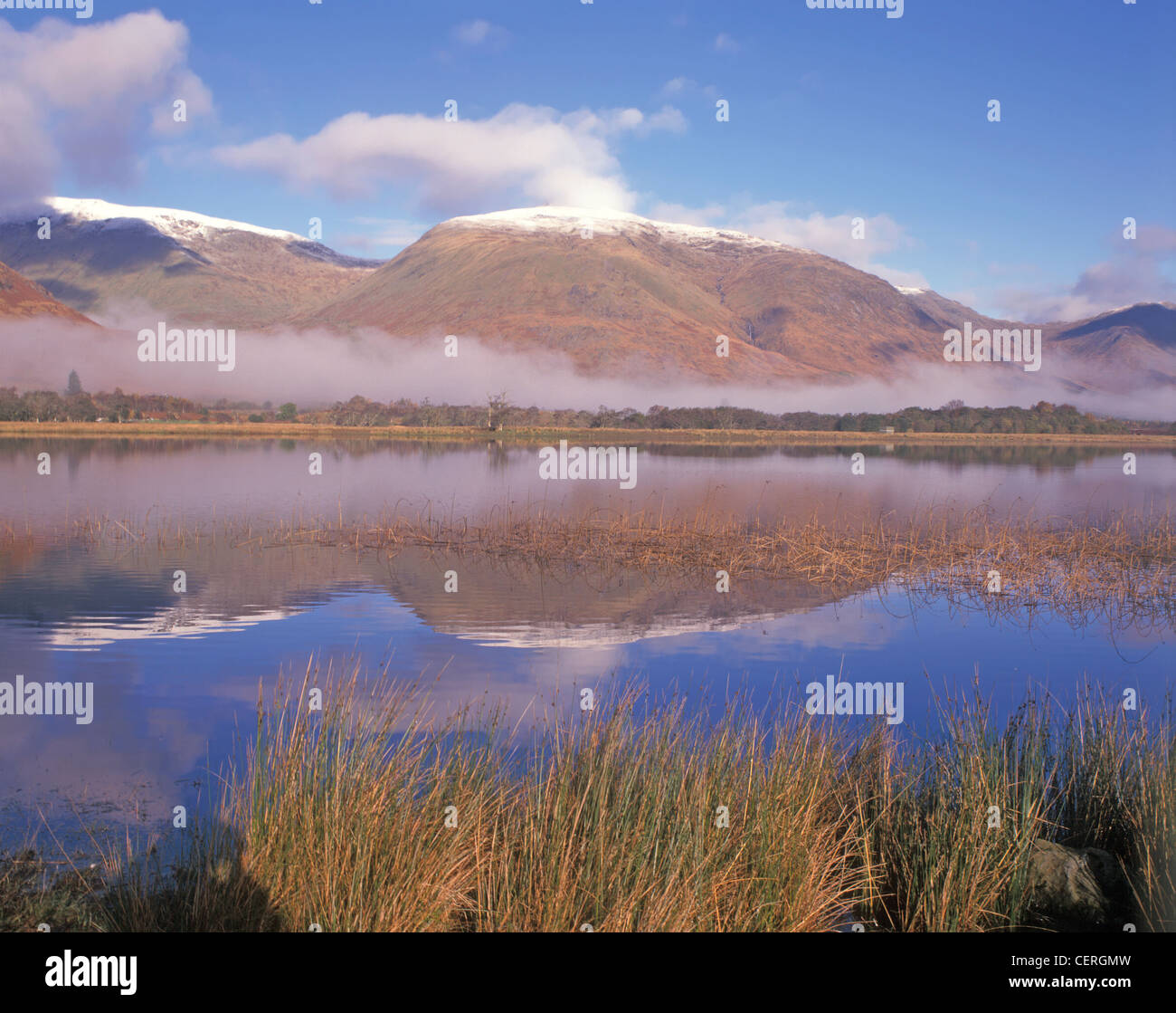 Island loch awe hi-res stock photography and images - Alamy