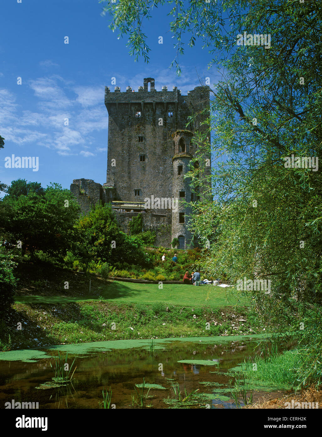 View to blarney castle hi-res stock photography and images - Alamy