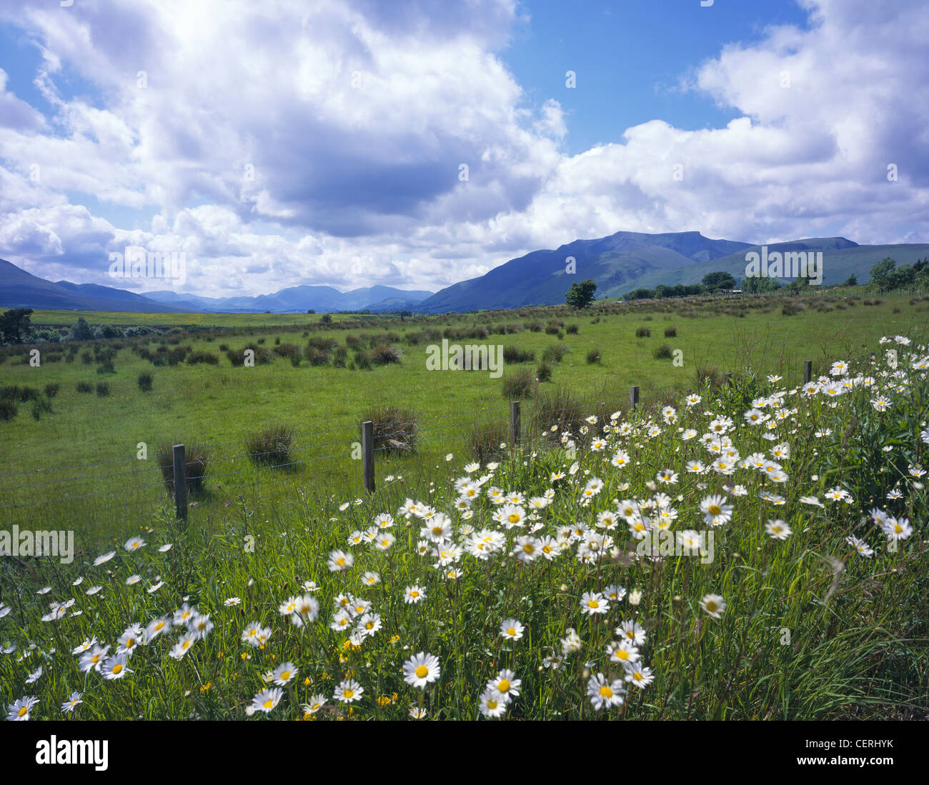 Rural scene featuring hi-res stock photography and images - Alamy