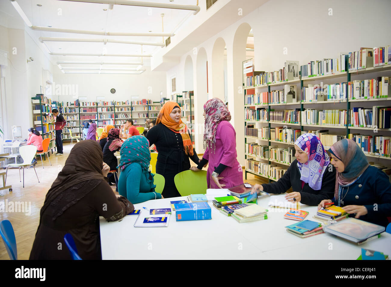 The library of the German Goethe Institute, a culture and language ...
