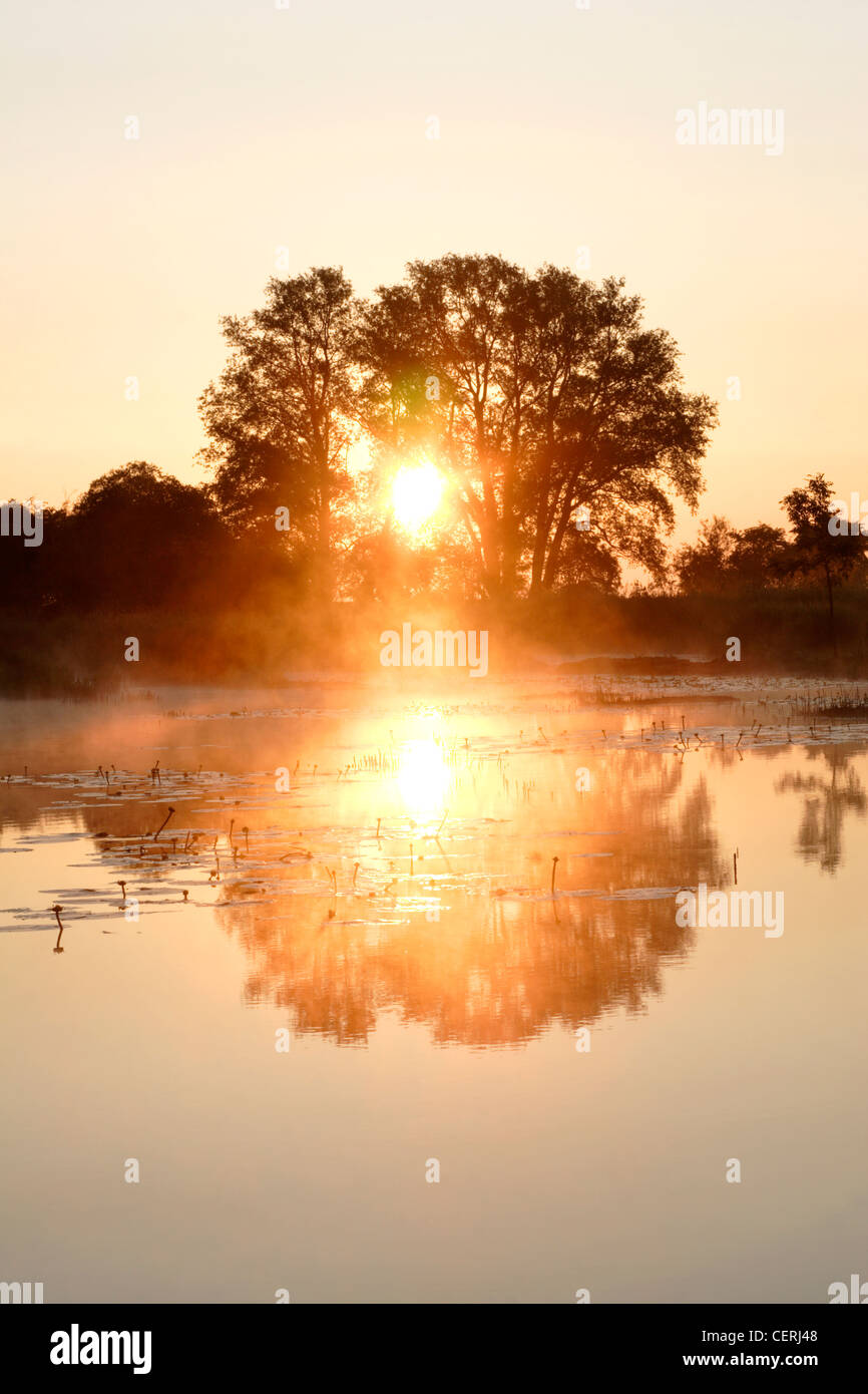 Sun rising behind trees opposite lake, Manea, Cambridgeshire, England ...