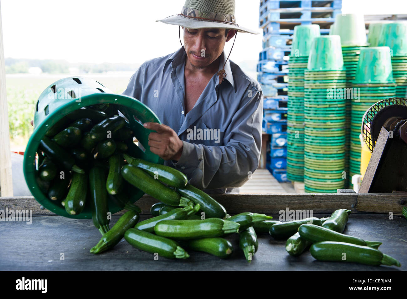 Farmhand hi-res stock photography and images - Alamy