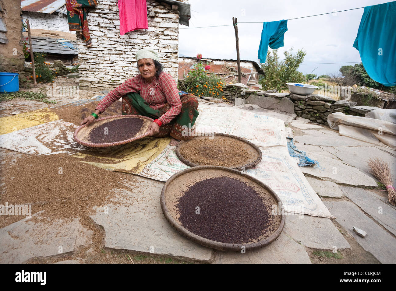 Woman winnowing grain hi-res stock photography and images - Alamy