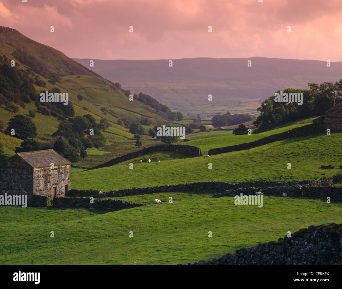 A rural country scene in Swaledale Stock Photo - Alamy