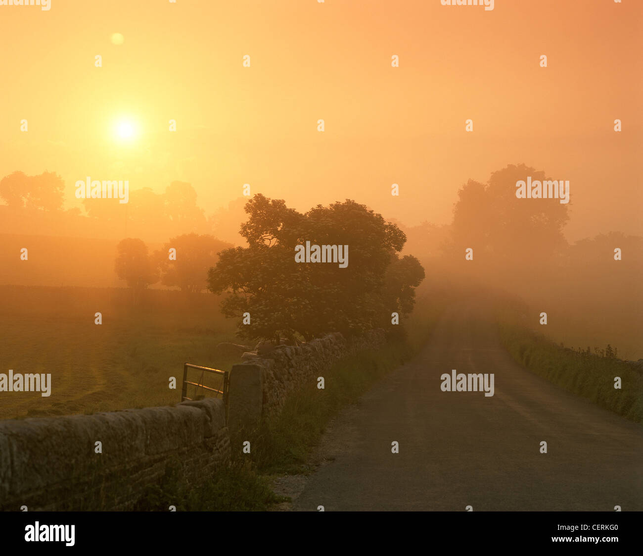 Country road hazy morning sun hi-res stock photography and images - Alamy