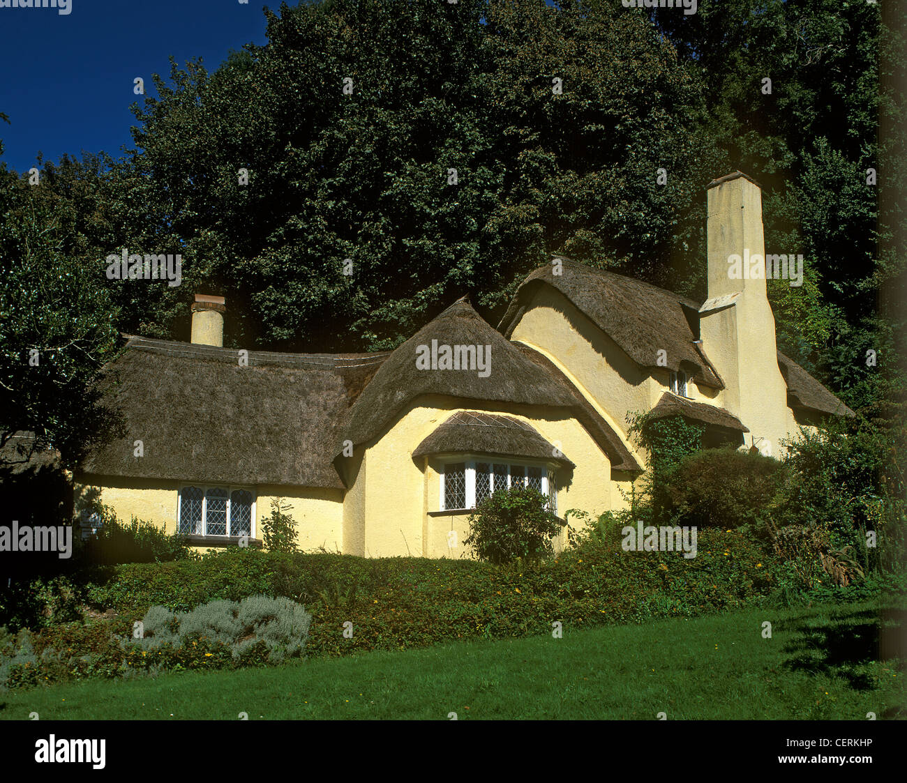 A thatched cottage and surrounding trees at Selworthy Stock Photo - Alamy