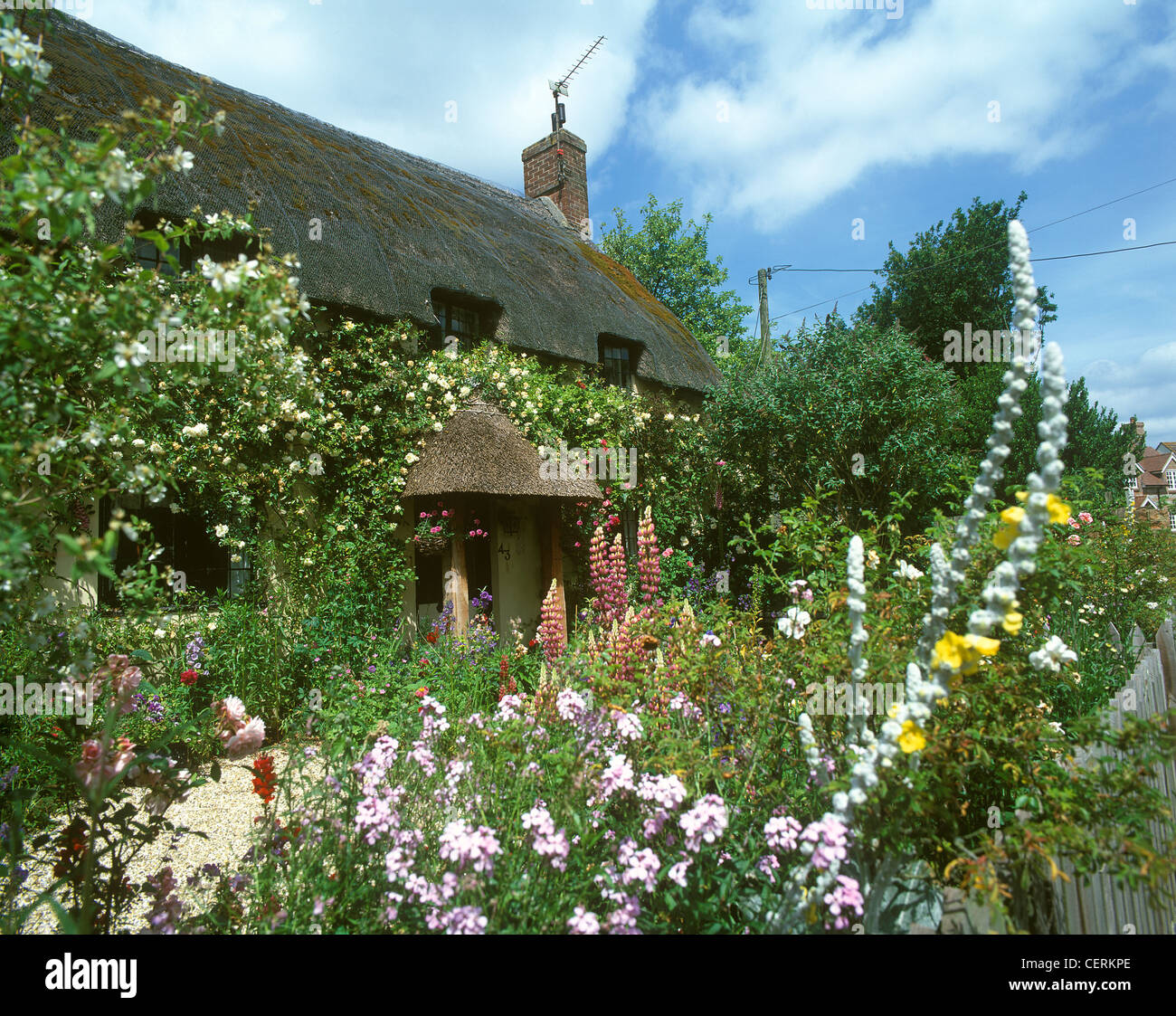 A view to a thatched cottage and its colourful garden Stock Photo - Alamy