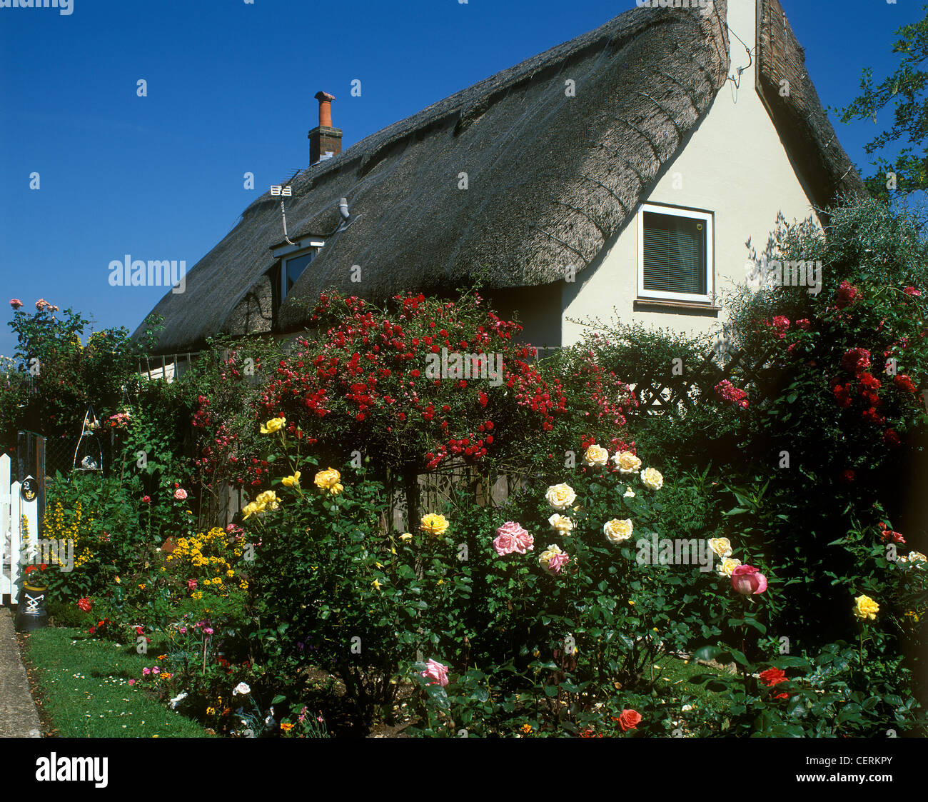 Colourful gardens and thatched cottages hi-res stock photography and ...