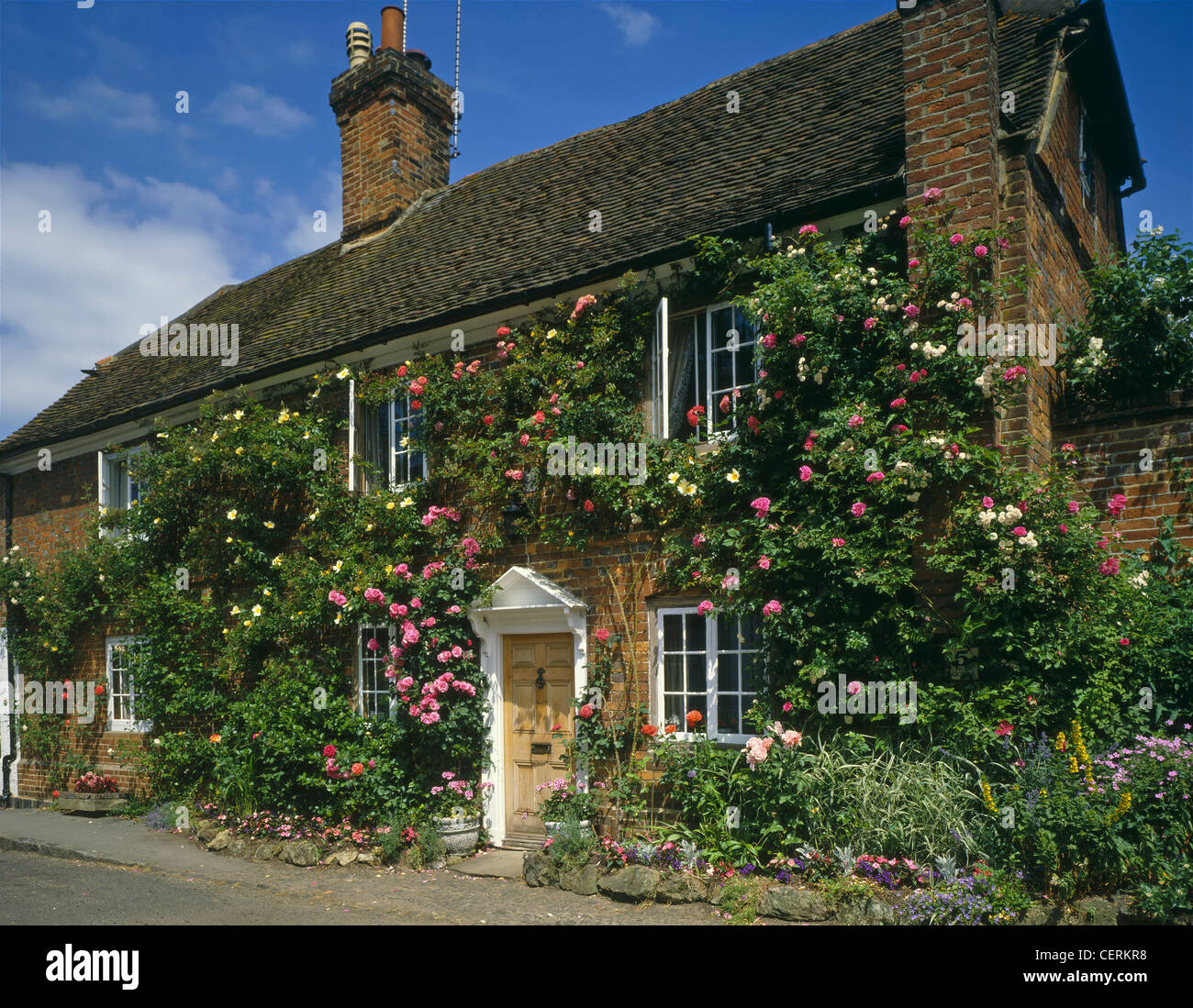Country cottage roses hi-res stock photography and images - Alamy