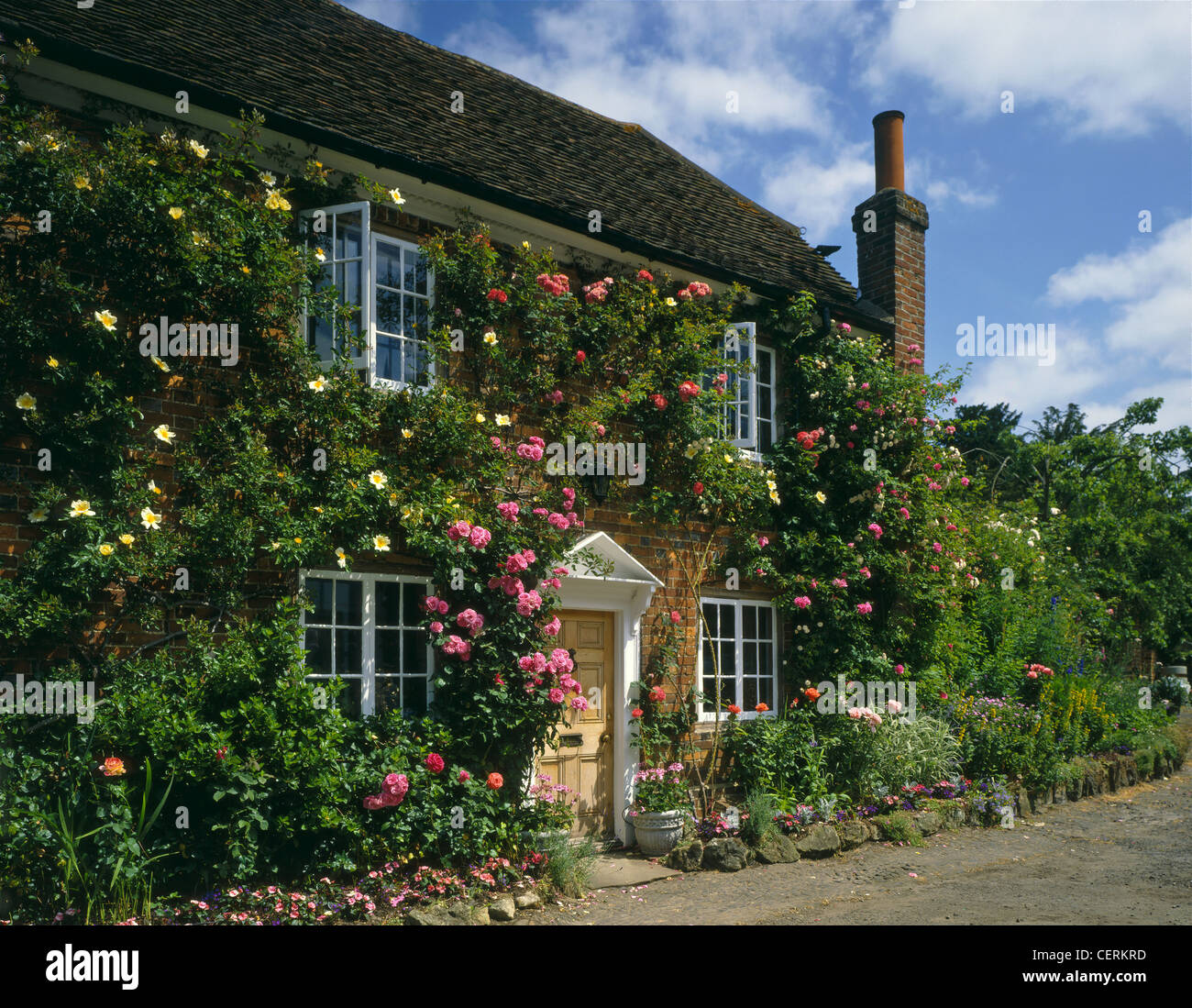 Cottage roses around door hi-res stock photography and images - Alamy